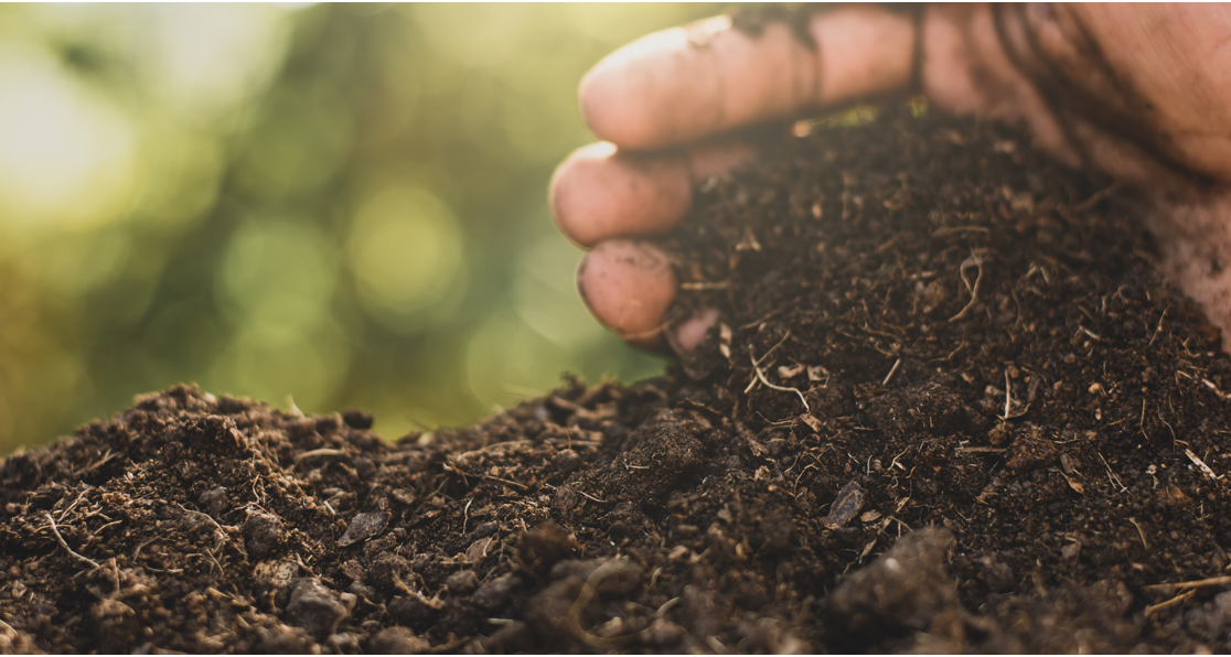 Ecodomeo – Toilettes d'avenir